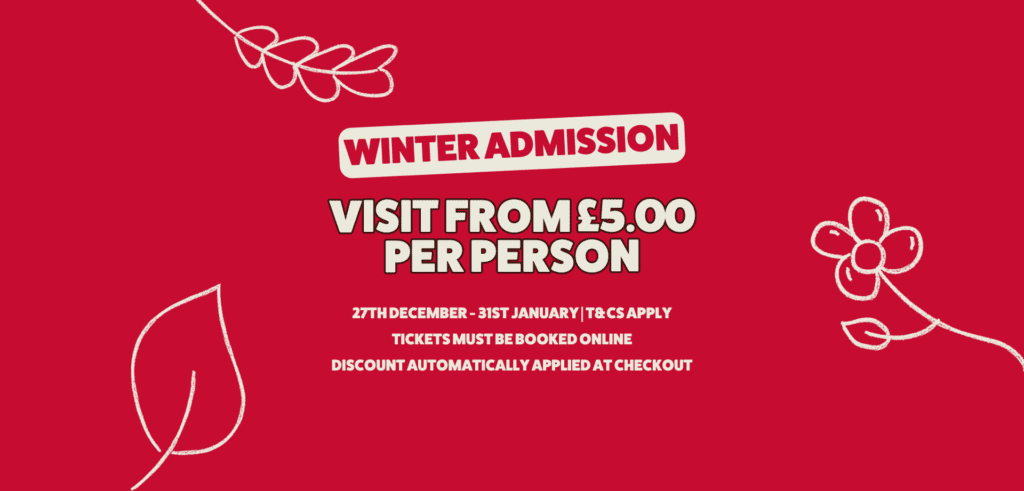 Homepage | Rand Farm Park