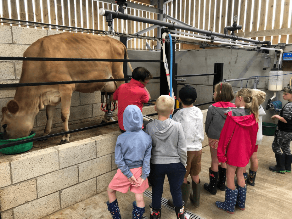 Education | Rand Farm Park