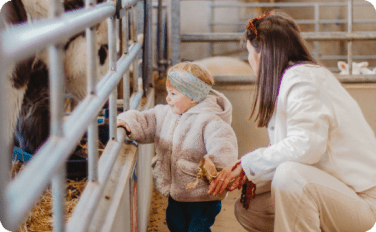 Homepage | Rand Farm Park